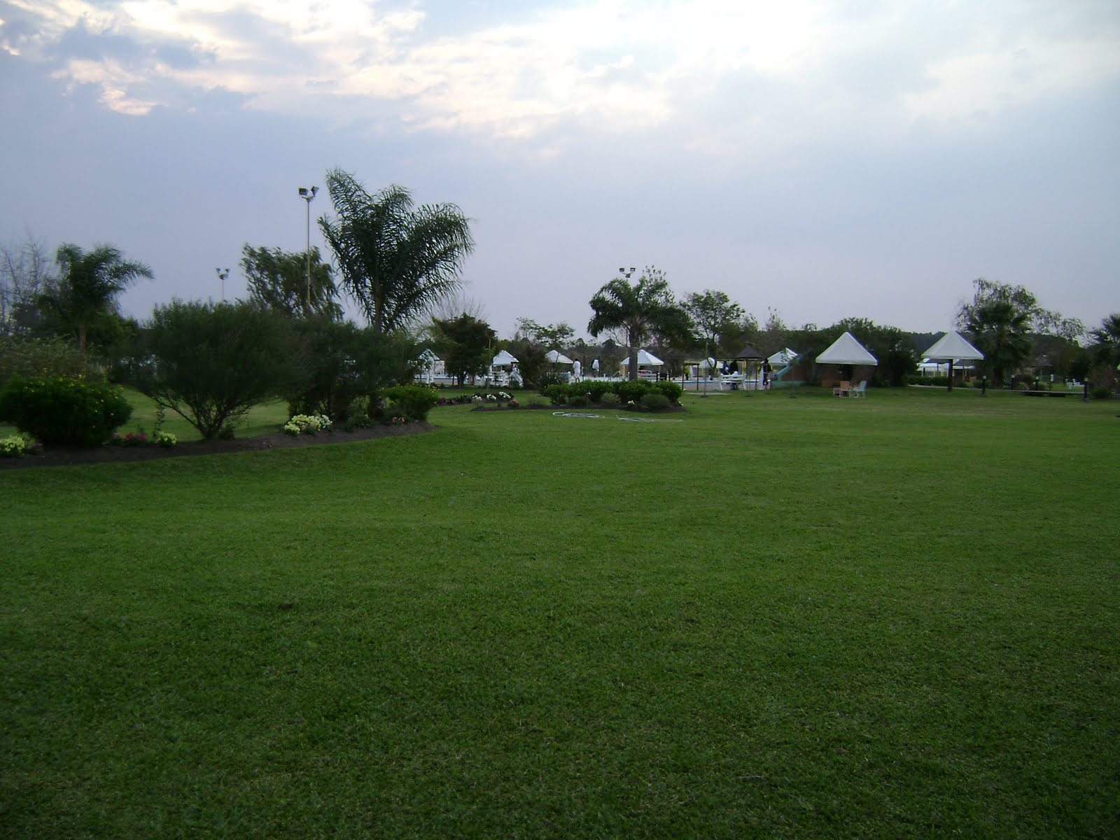 imagen termas de federacion