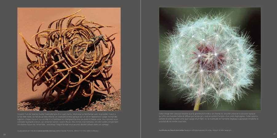 Animalia: Hyper Nature, de Philippe Martin