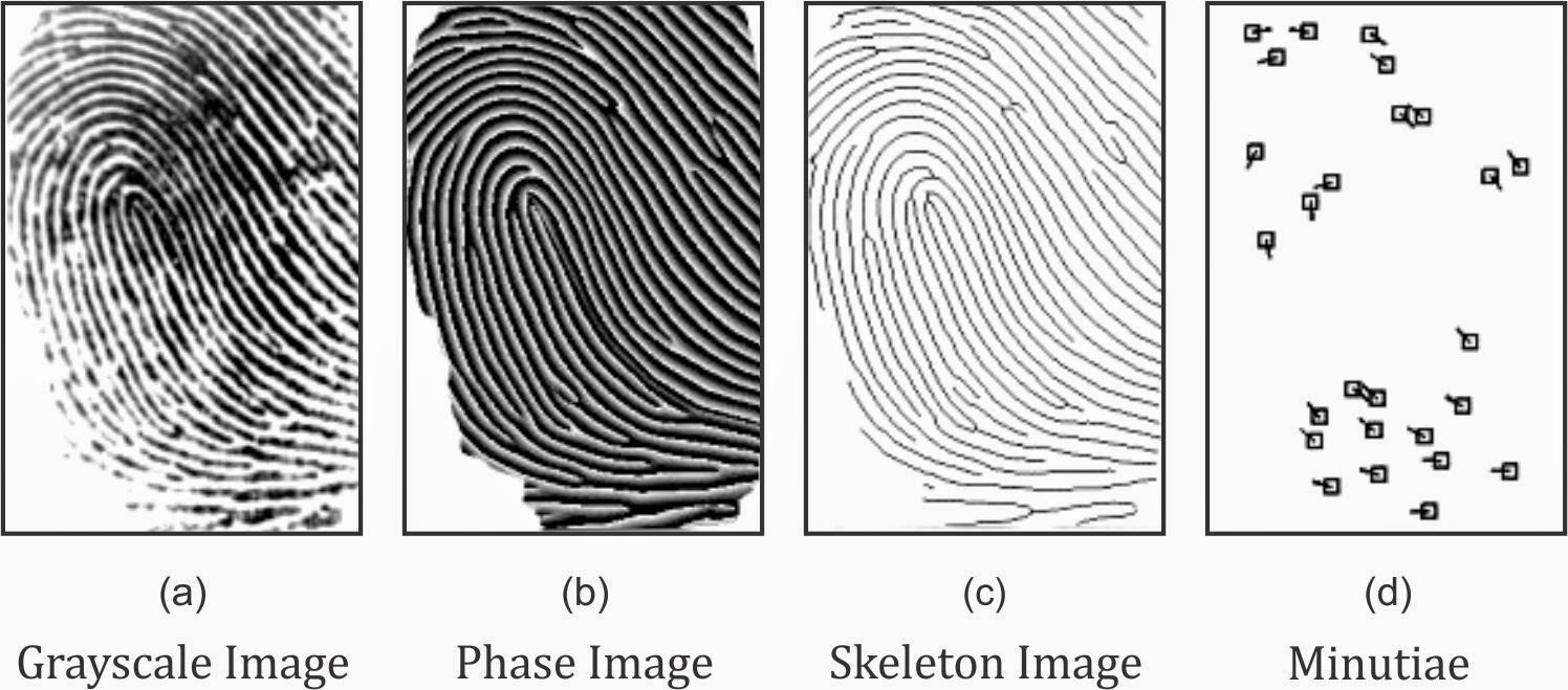 Creating a New World of Biometric Systems: How Fingerprint Recognition ...