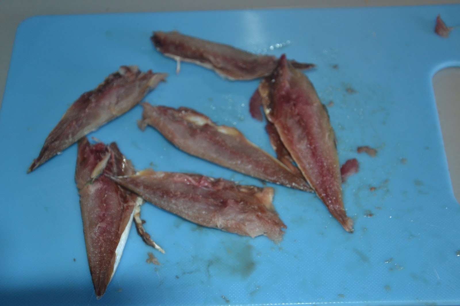 Oppdag Fisk!: Japansk Makrell/Japanese Scad/Decapterus Maruadsi ...