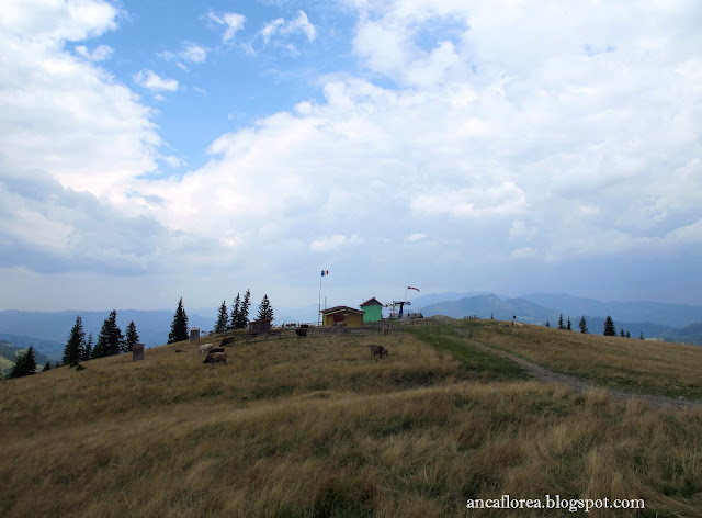 destinatiidevacanta.blogspot.com: Complex turistic Borşa - Telescaun