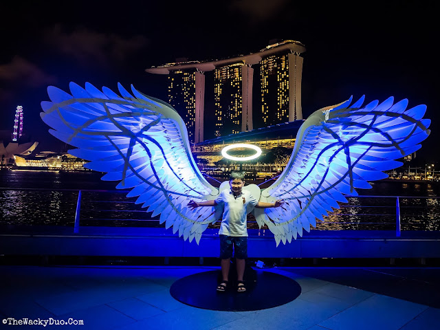 Uncle Ringo iLight Carnival at the Bay Review - TheWackyDuo.com ...