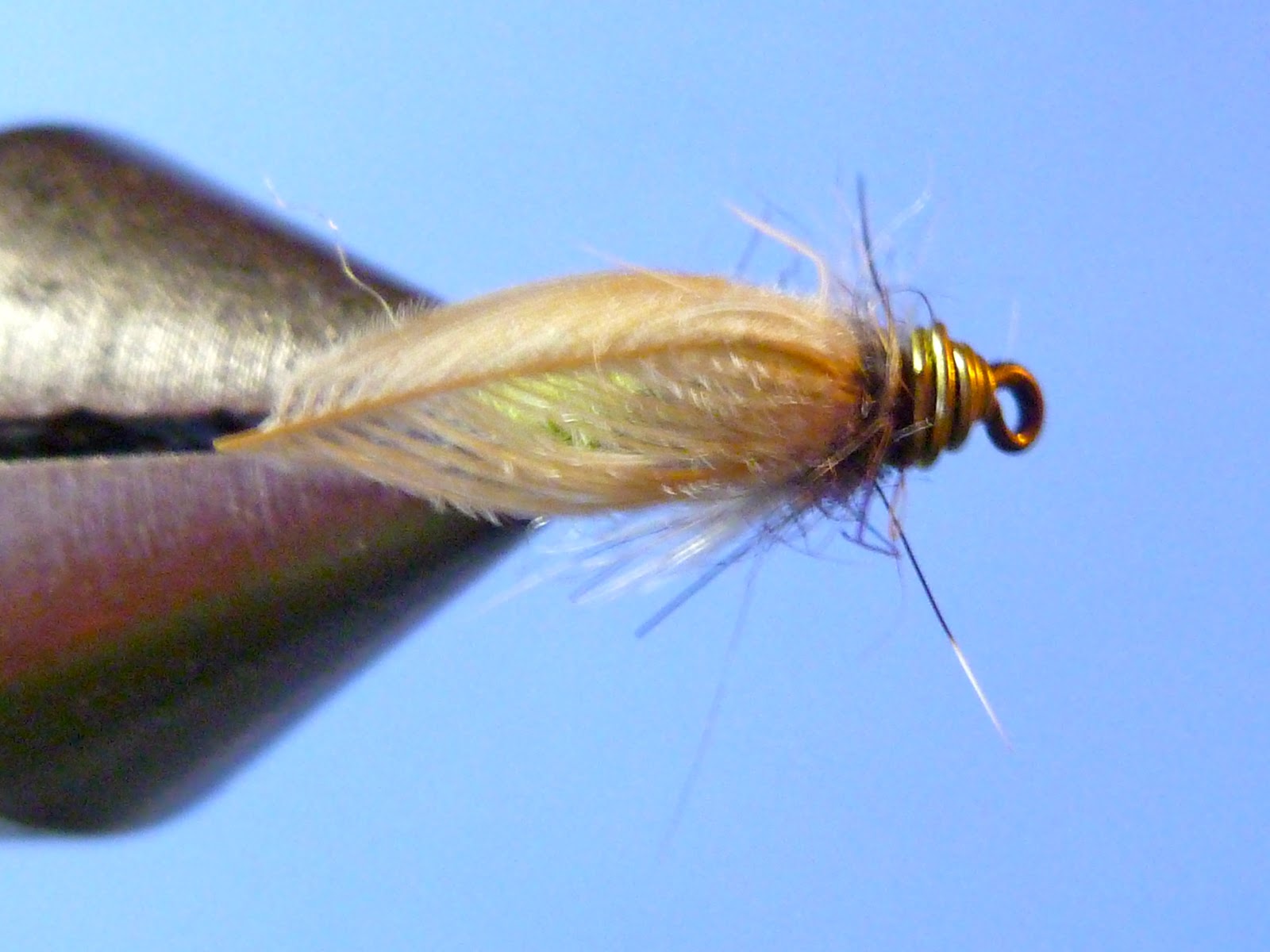 Korn's WH Apple Caddis Emerger SBS