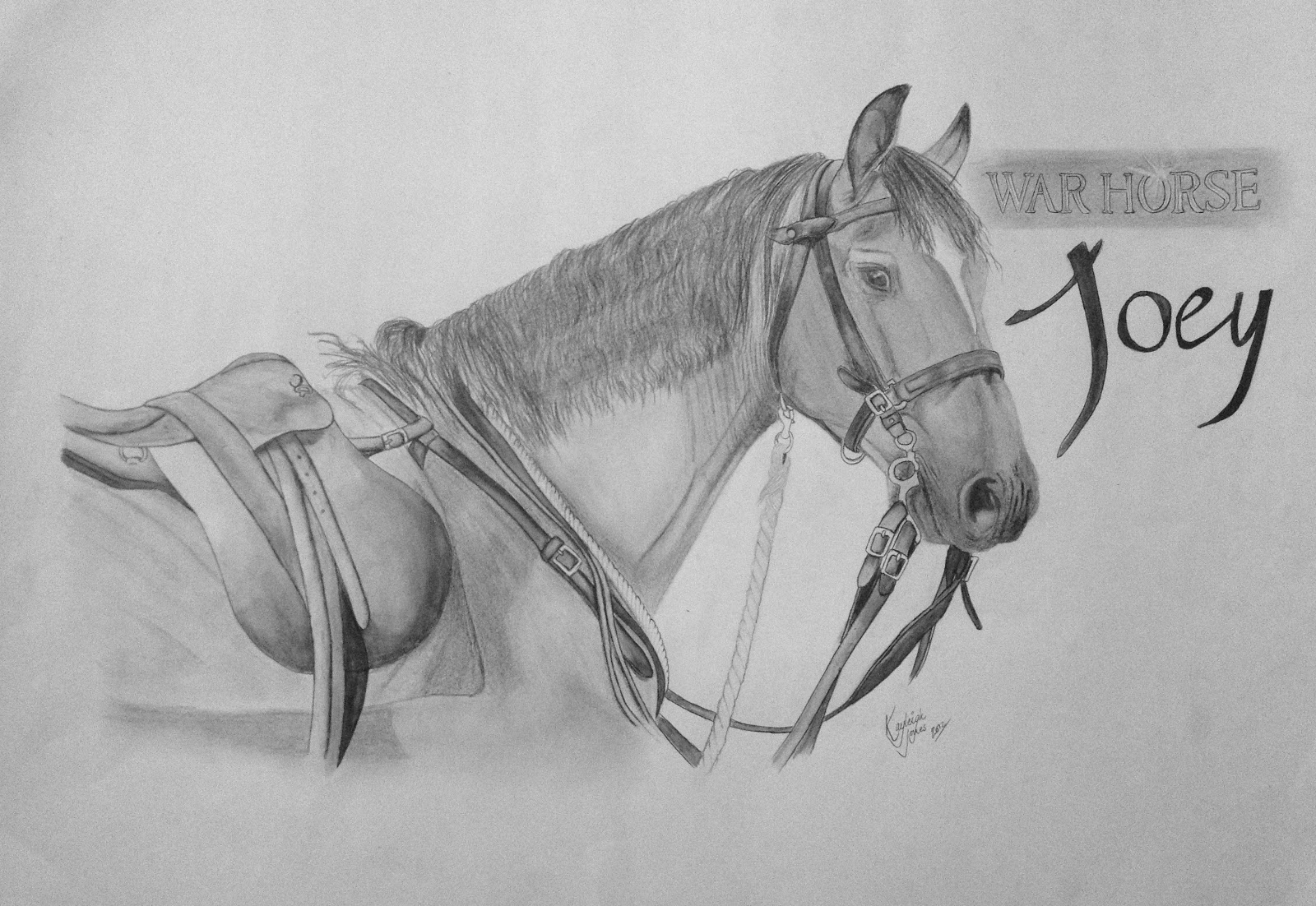 War Horse Joey Drawing