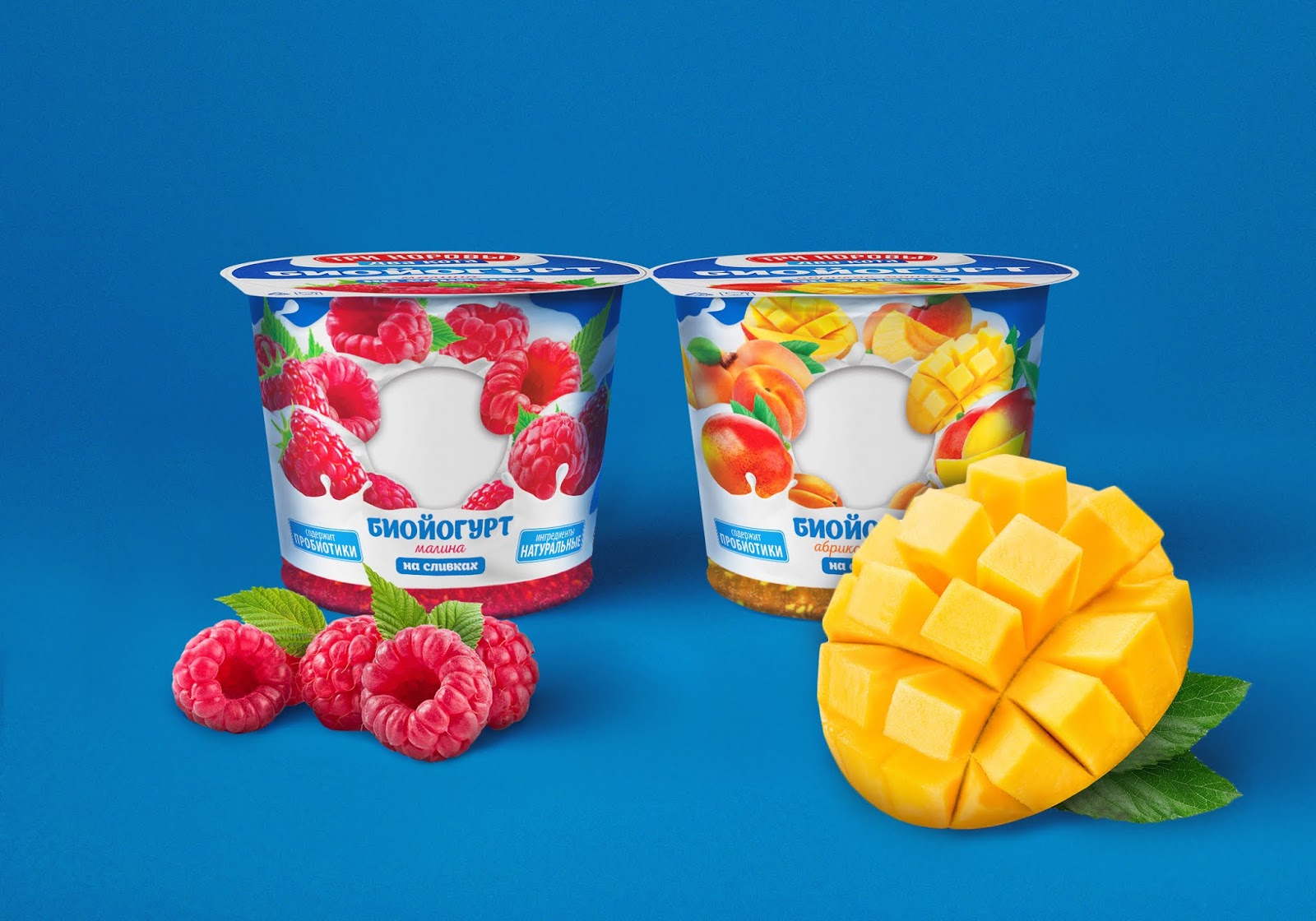 Bio Yogurts with cream 3K2K – Packaging Of The World