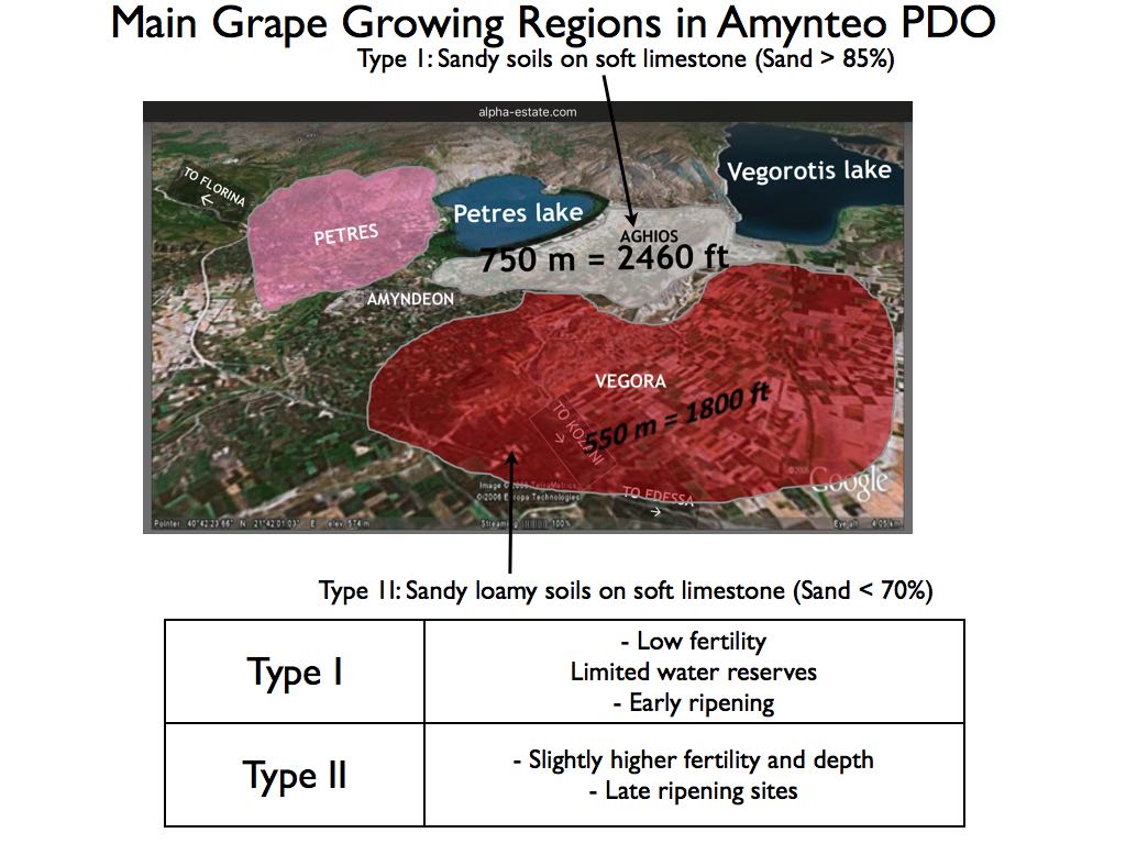 Wine -- Mise en abyme: Xinomavro: Variety, growing regions, and wines