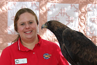 World Bird Sanctuary: Backyard Birds - The Downy Woodpecker