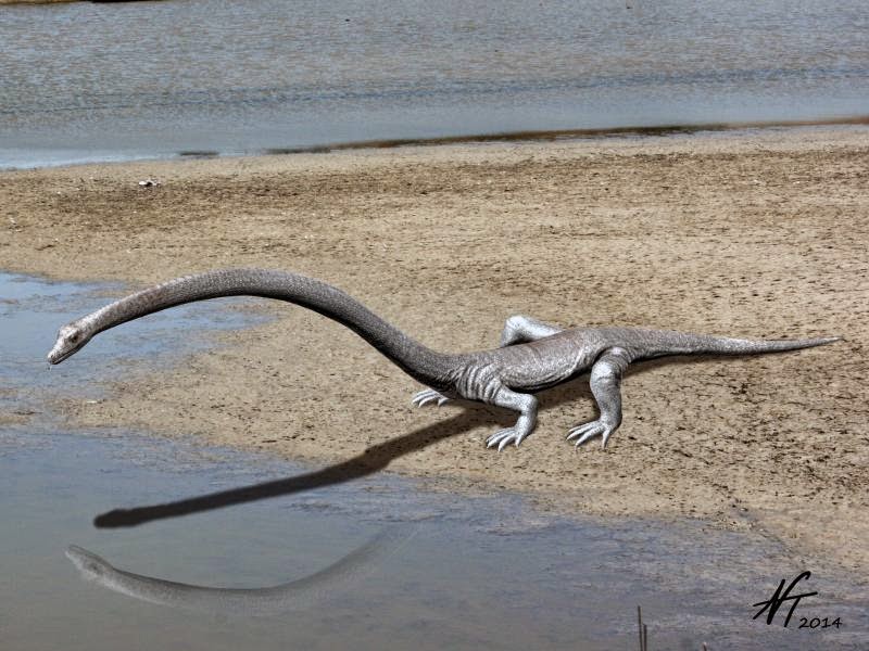 Paleoexhibit: Extraordinary Tanystropheus