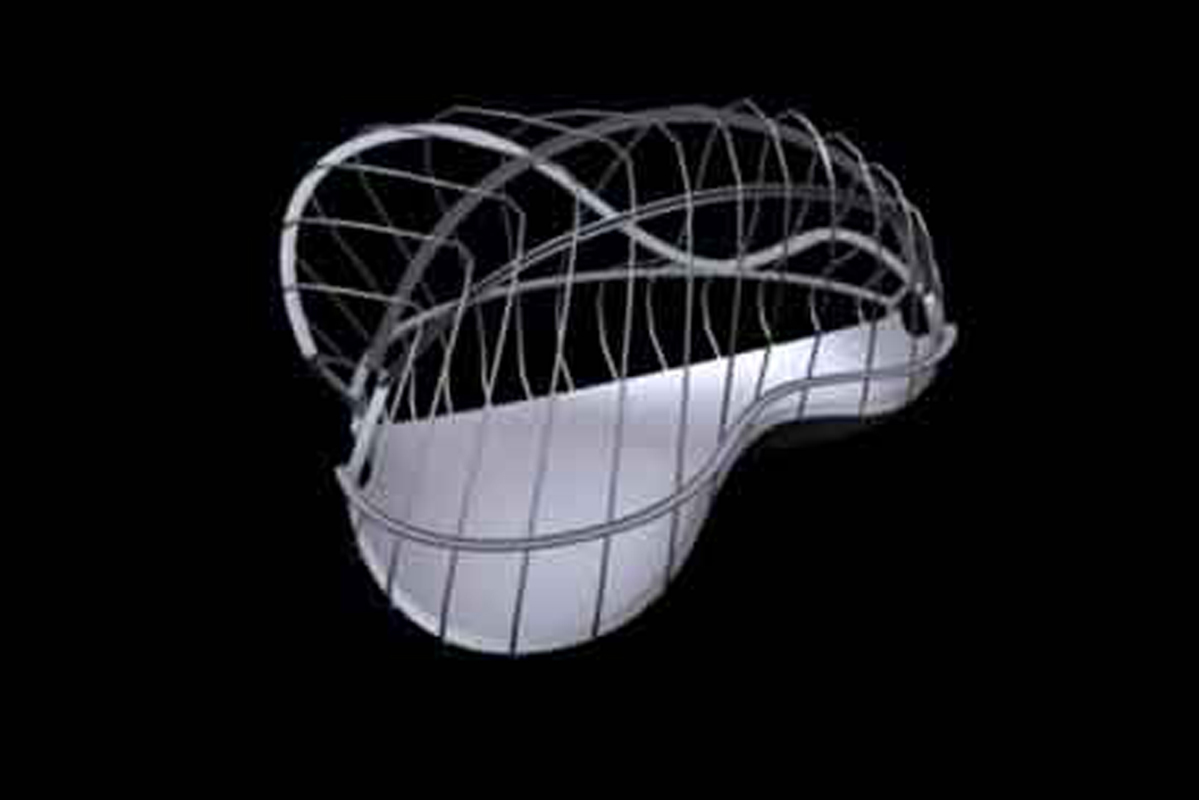 Future House(s):Genealogy: Embryological House