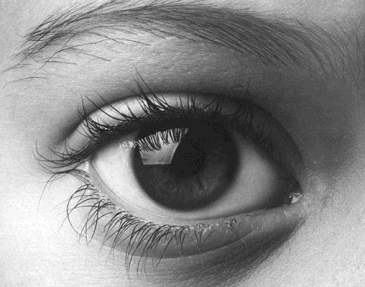 El Secreter: El ojo .....