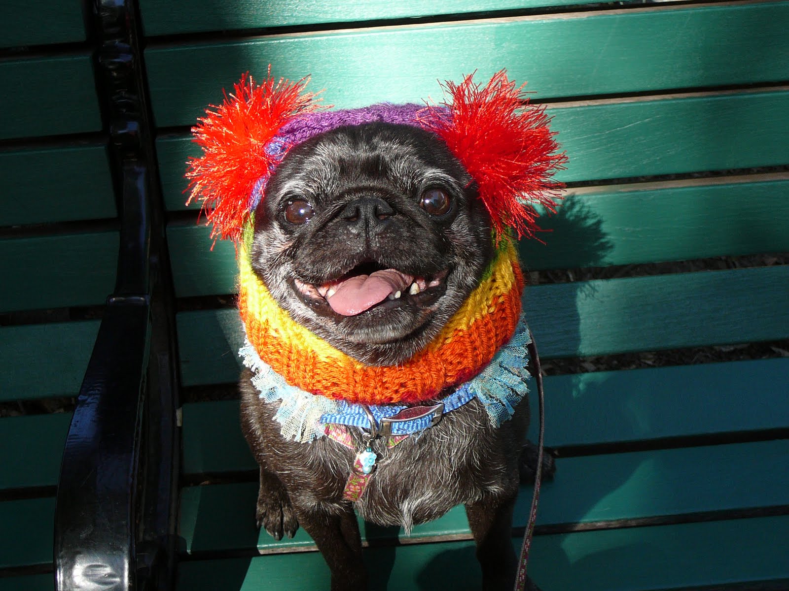 Urban Hounds: Owney The Postal Dog, A Good Luck Charm-A Historical ...