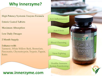 Digestive and Systemic Enzyme Therapy: High Potency Systemic Enzyme ...
