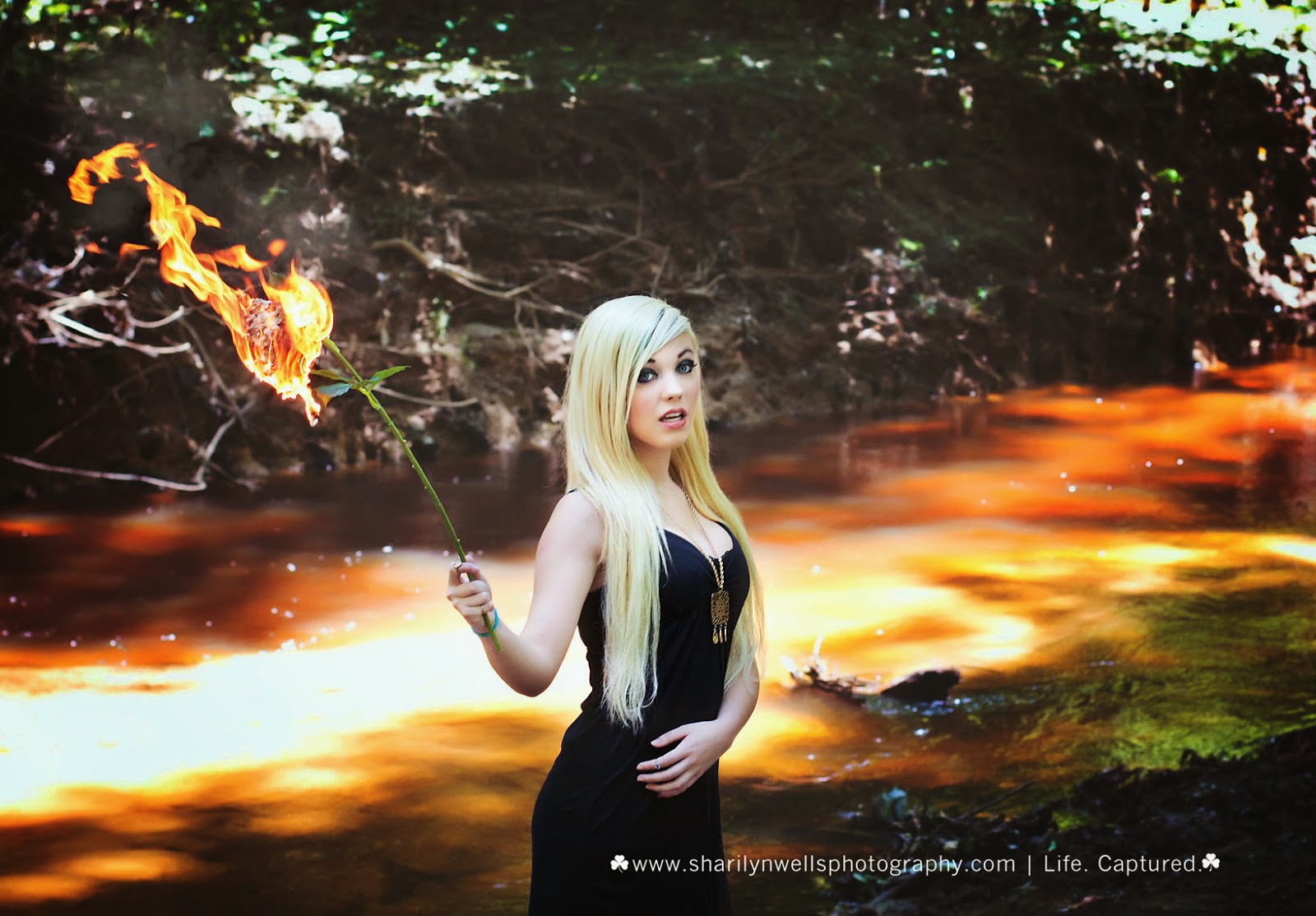 Sharilyn Wells Photography: Getting Creative | Concept Shoot ...