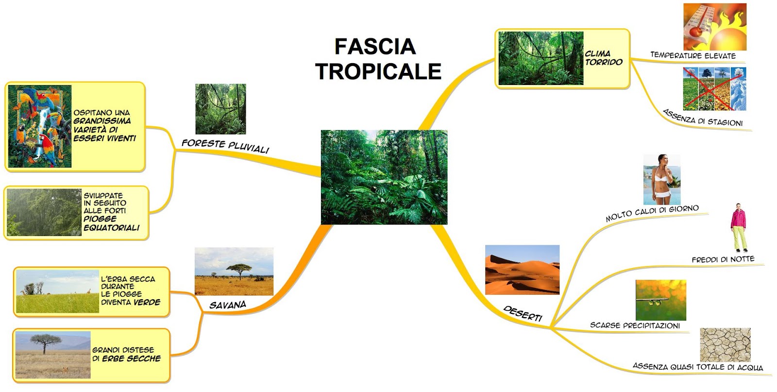 4^ elementare - Geografia - il clima