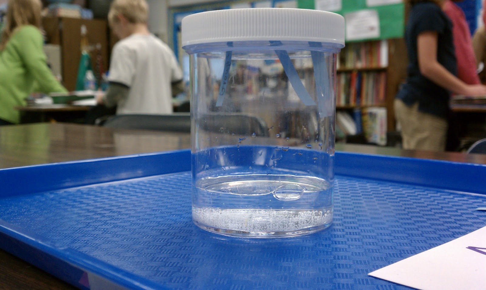 Science Gal: Thinking about Humidity....