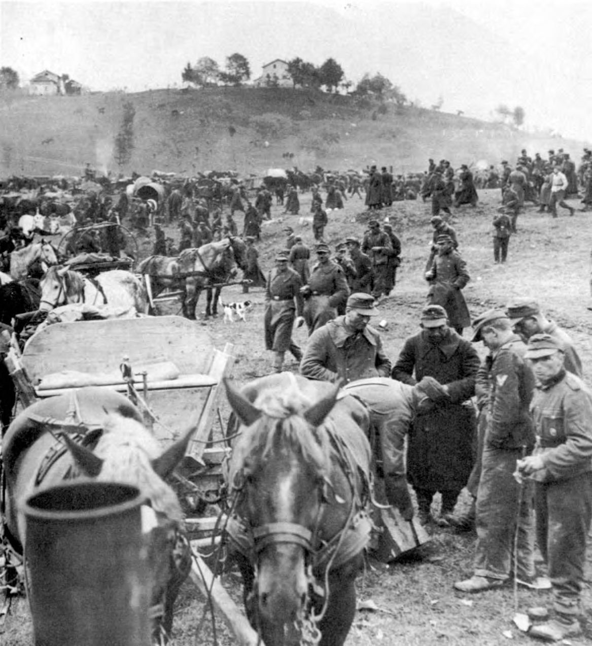 NAZI JERMAN: Foto Pertempuran Lembah Po (5 April 1945 - 2 Mei 1945)