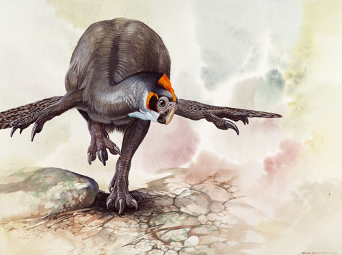 Species New to Science: [Paleontology • 2001] Khaan mckennai • A new ...
