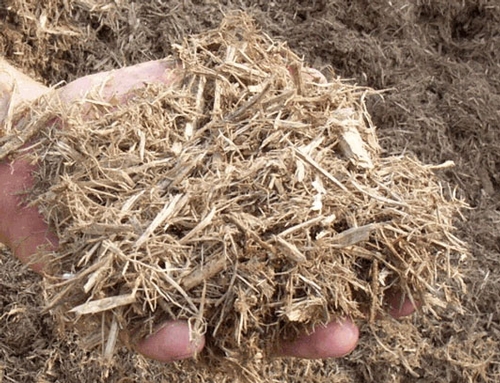 Penn State Extension Philadelphia Master Gardeners : What Mulch Is All ...