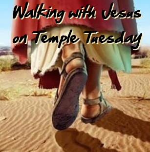 Living in the Peace Zone: Holy Tuesday aka Temple Tuesday