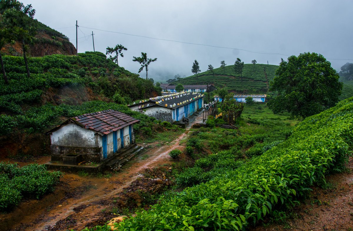 Tamilnadu Tourism: Manjolai Hills, Thirunelveli