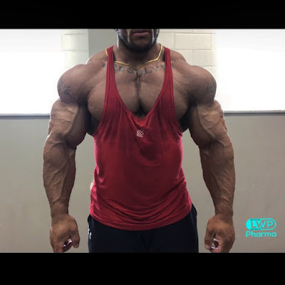 the beauty of male muscle: Shawn