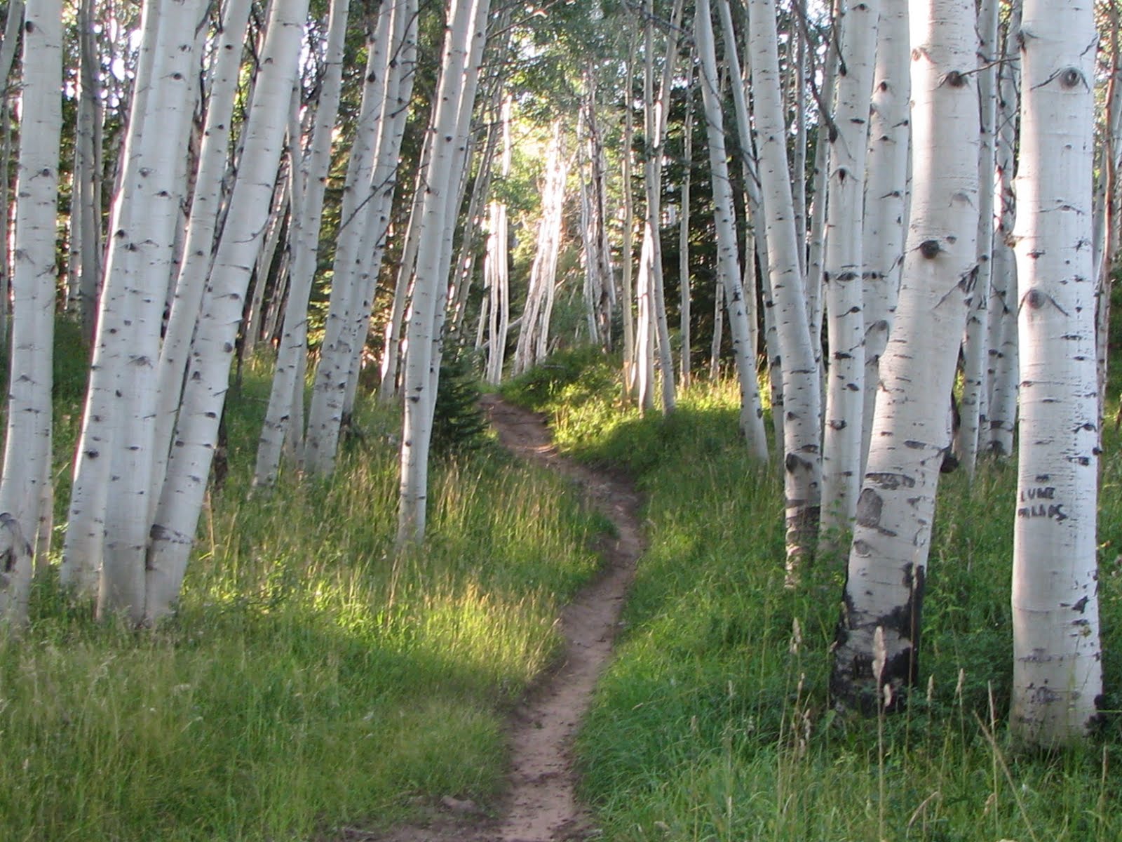 gjhikes.com: Turkey Flats