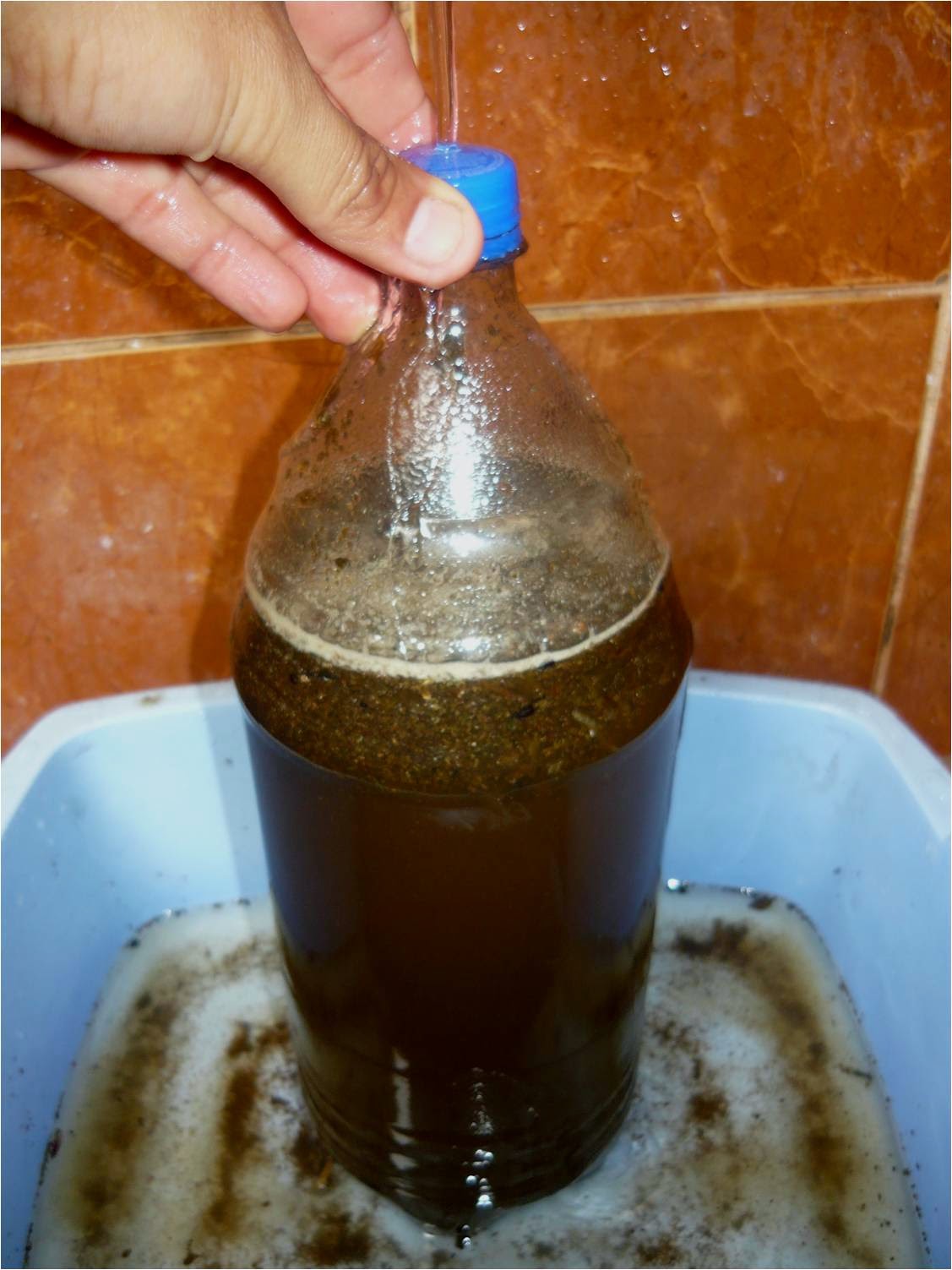 ALTERNATIVA ECOLÓGICA: ELABORACIÓN DE BIOL CASERO