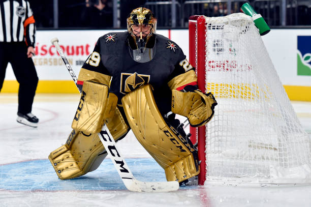 I Love Goalies!: Marc-Andre Fleury 2018-19 Mask