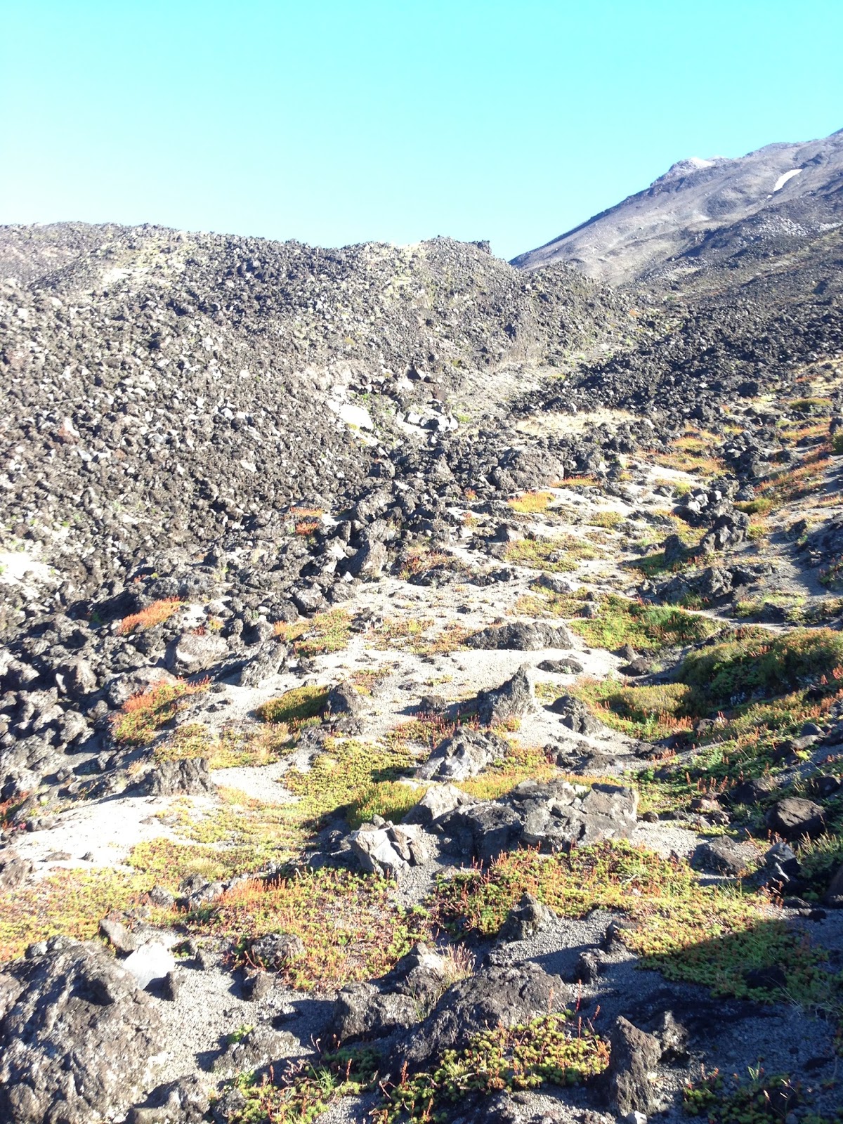 The Active Joe: 2013 Volcanic 50 Race Report - I Did Something that ...