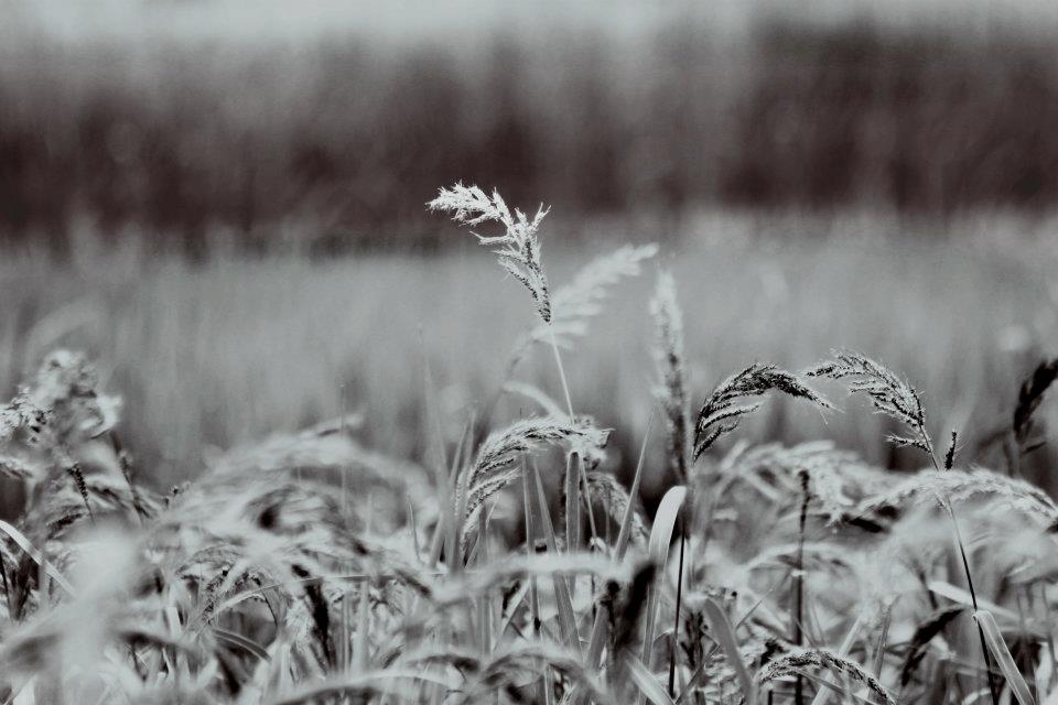 Nunzio Cultura - Creative Culture Magazine: The Black & White Bali by ...