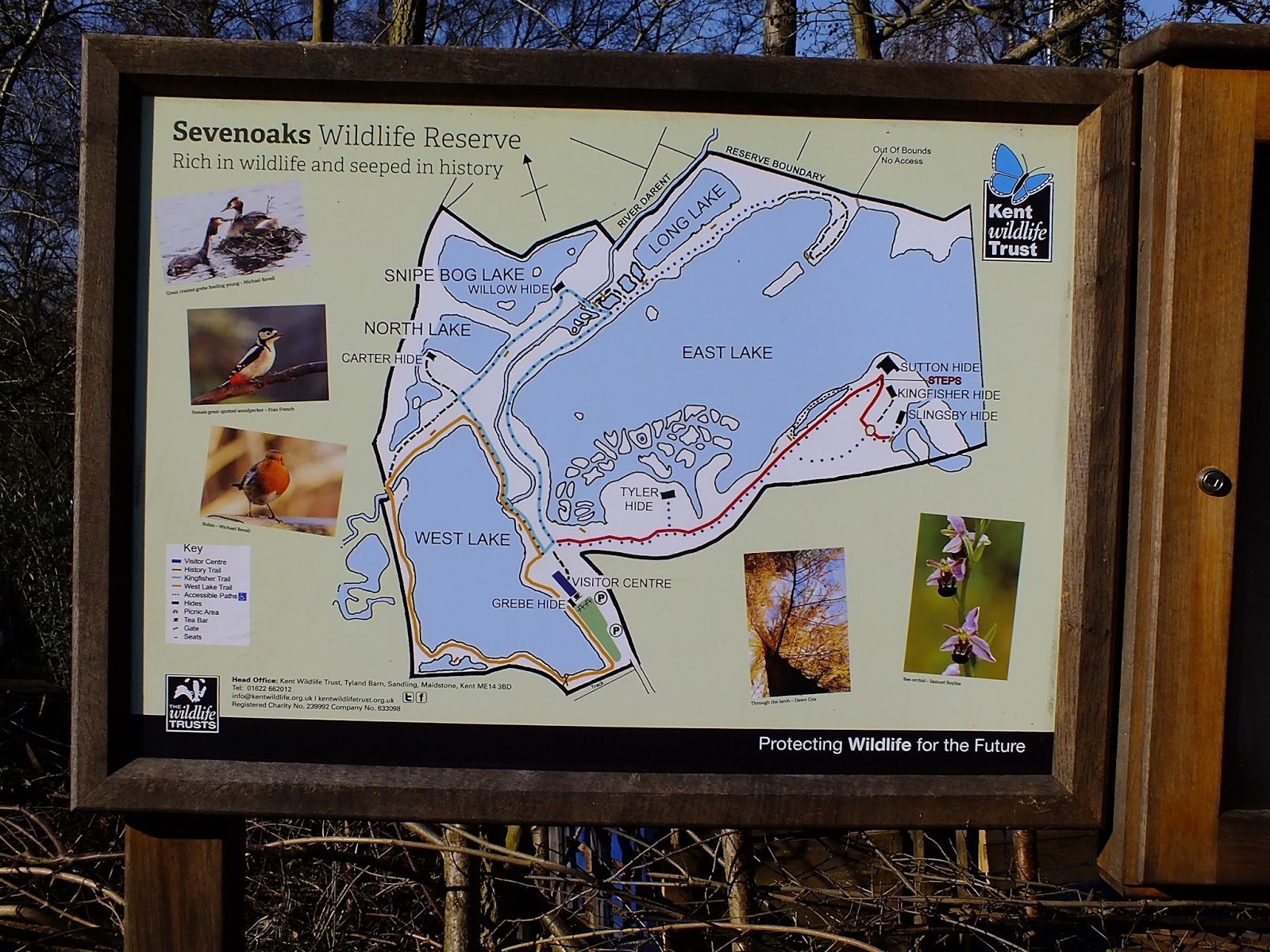 Tick 'n' go Birding: Nice first visit to Sevenoaks wildlife reserve.