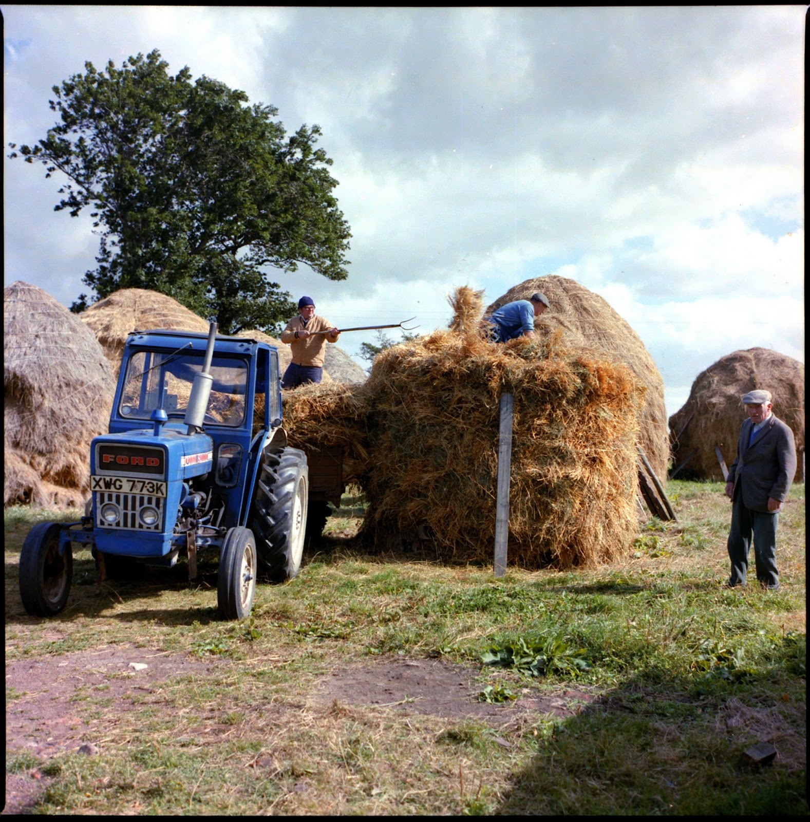 Kate Writes and Reads: A Time to Reap (2) – How to make a haystack