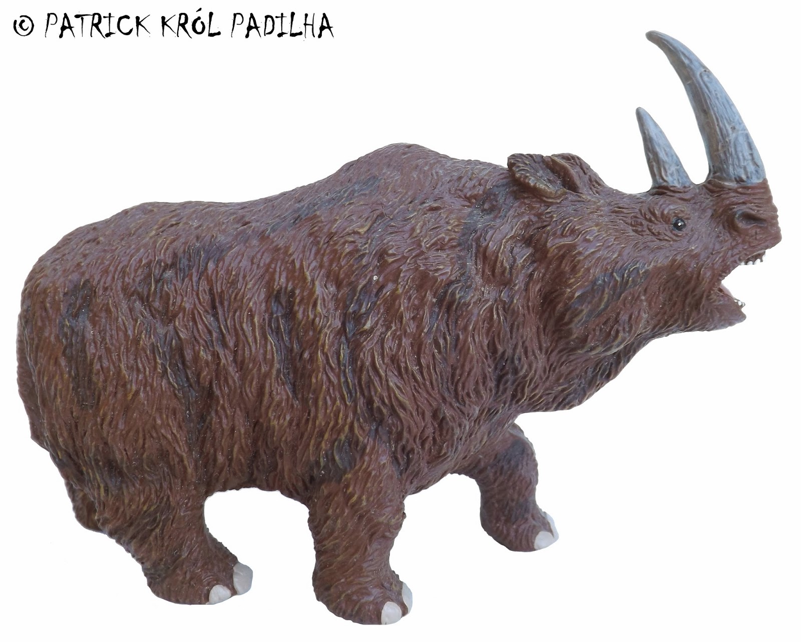 Dos Fósseis ao Plástico!: COELODONTA/RINOCERONTE LANUDO (MISSING LINKS ...