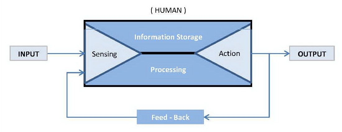 Teknik Industri - Ku: Man Machine System