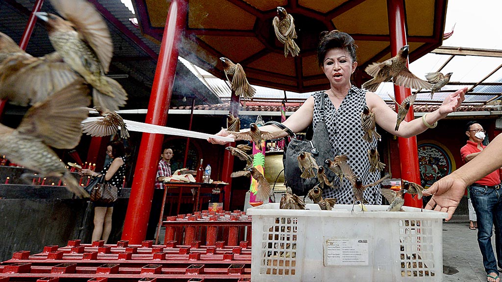 Thai Genuine Amulet Indonesia: Fang Shen, apa sih manfaatnya