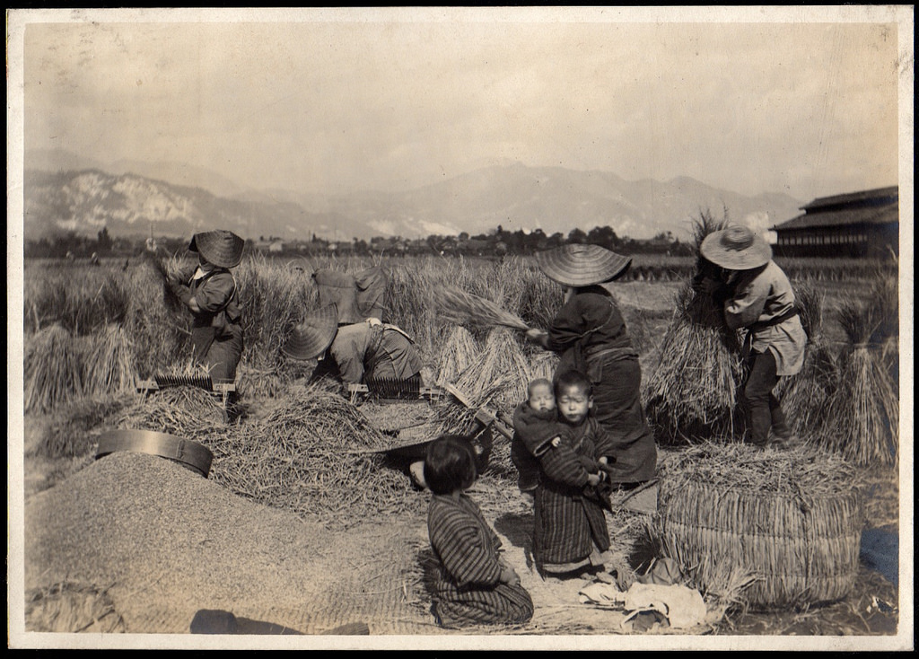 Rarely-Seen Pictures Show the Farm Work in Japan over 100 Years Ago ...