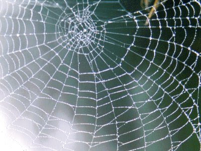 இ Cobwebs ~ இBaŋaŋazஇ