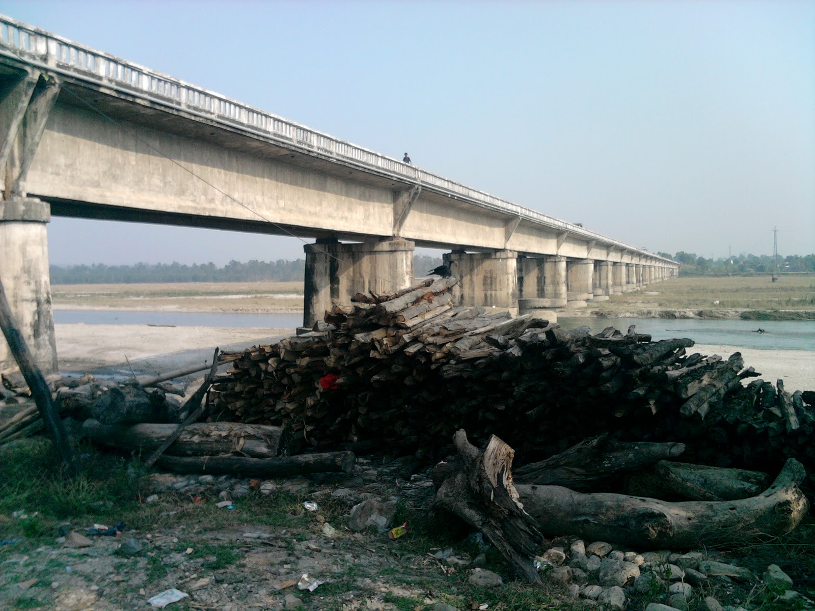 Jāti - JungleKey.in Image