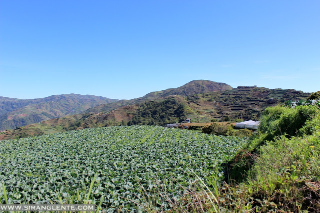 SIRANG LENTE: Mt. Timbak (Hiking Guide, Itinerary, Things you need to know)