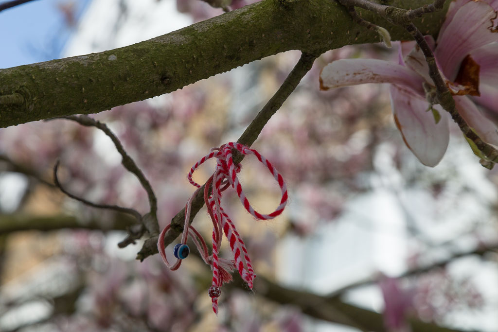 Shadows & Light: Spring String