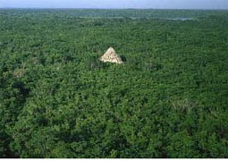 ¿UNA PIRAMIDE EN LA SELVA DEL AMAZONAS?
