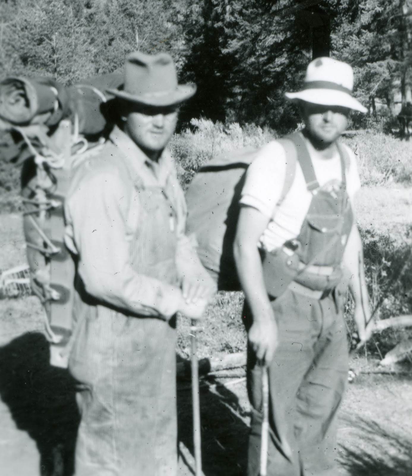 Harrison Histories: Heber Glenn Bingham