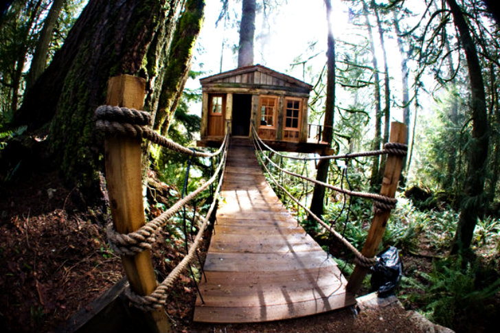 Treehouse Point Eco Resort Helps You Reconnect With Nature in ...