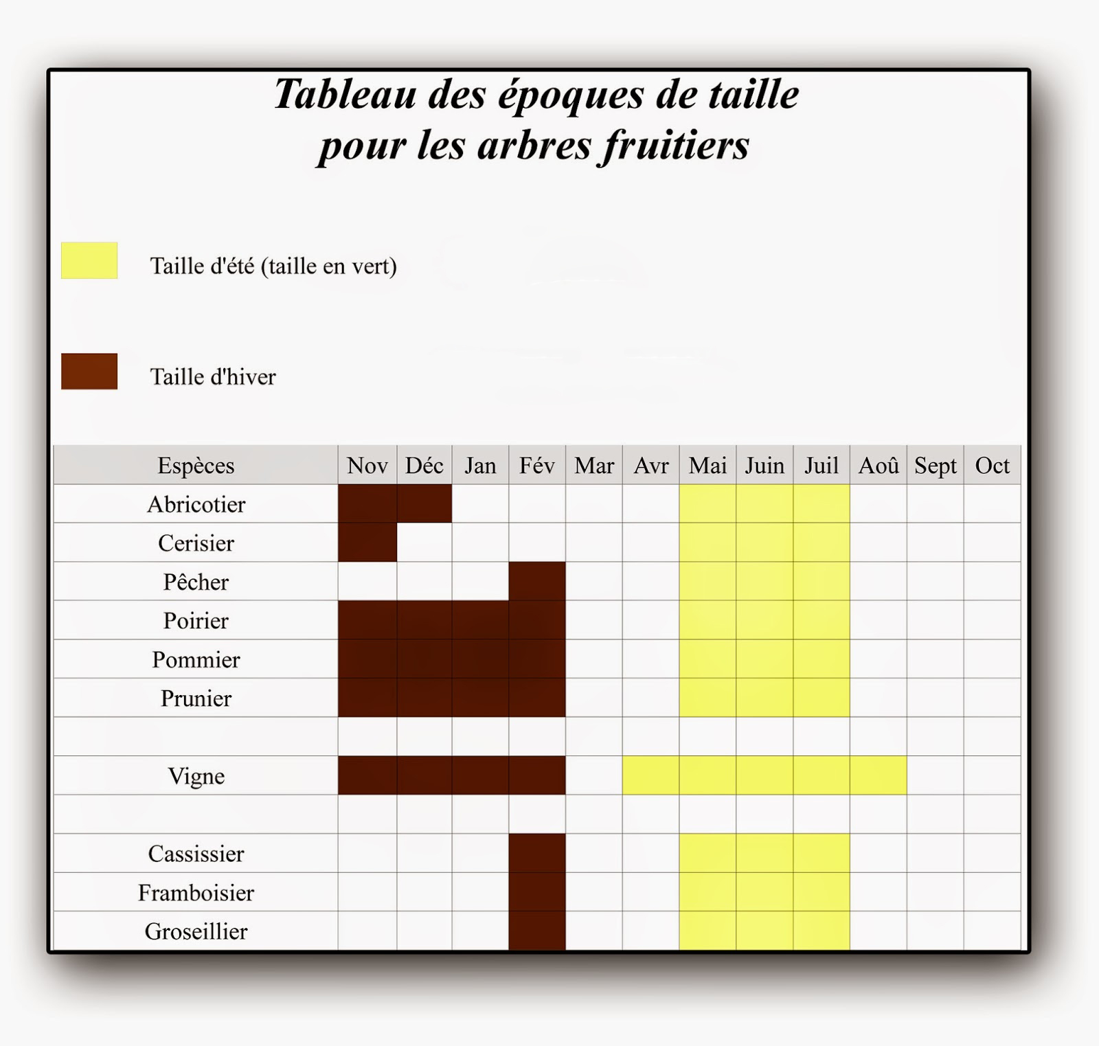 Les secrets de la taille et de la greffe des arbres fruitiers bio ...
