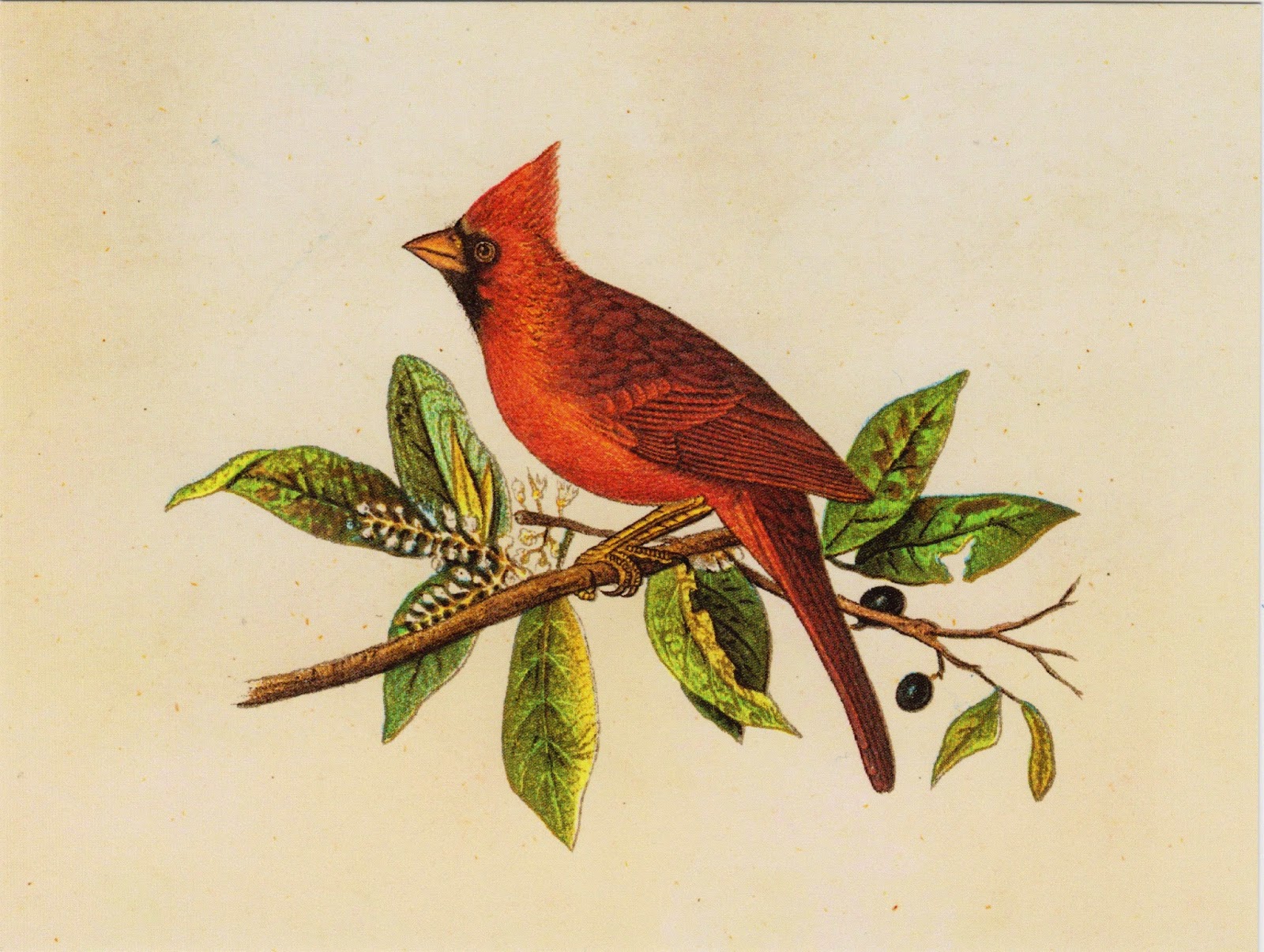 One Postcard a Day: March 2015