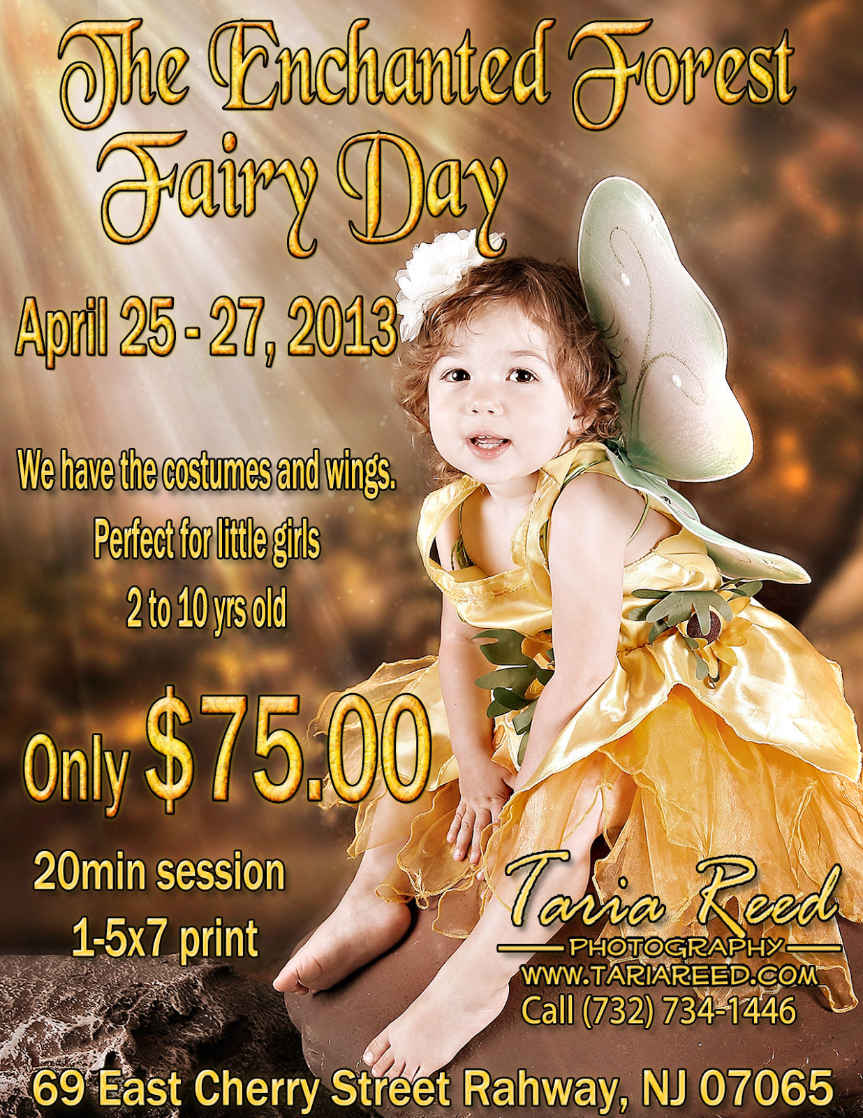 Taria Reed Photography: The Fairies Are Back!!!!!