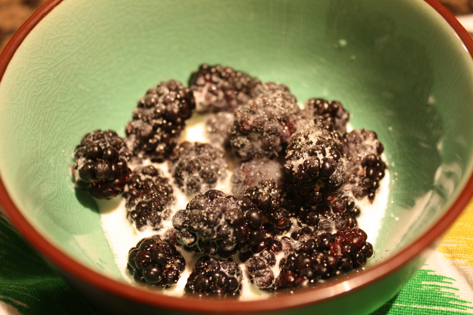 Nicole at Home: Overrun by Olallieberries, in a good way