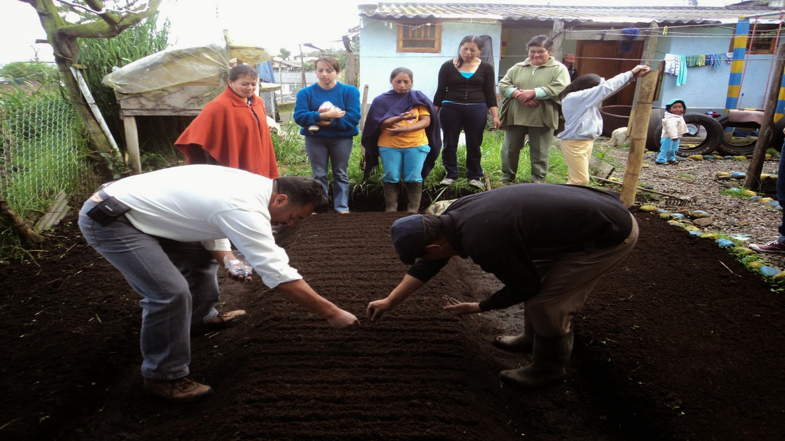 Cómo hacer un semillero?