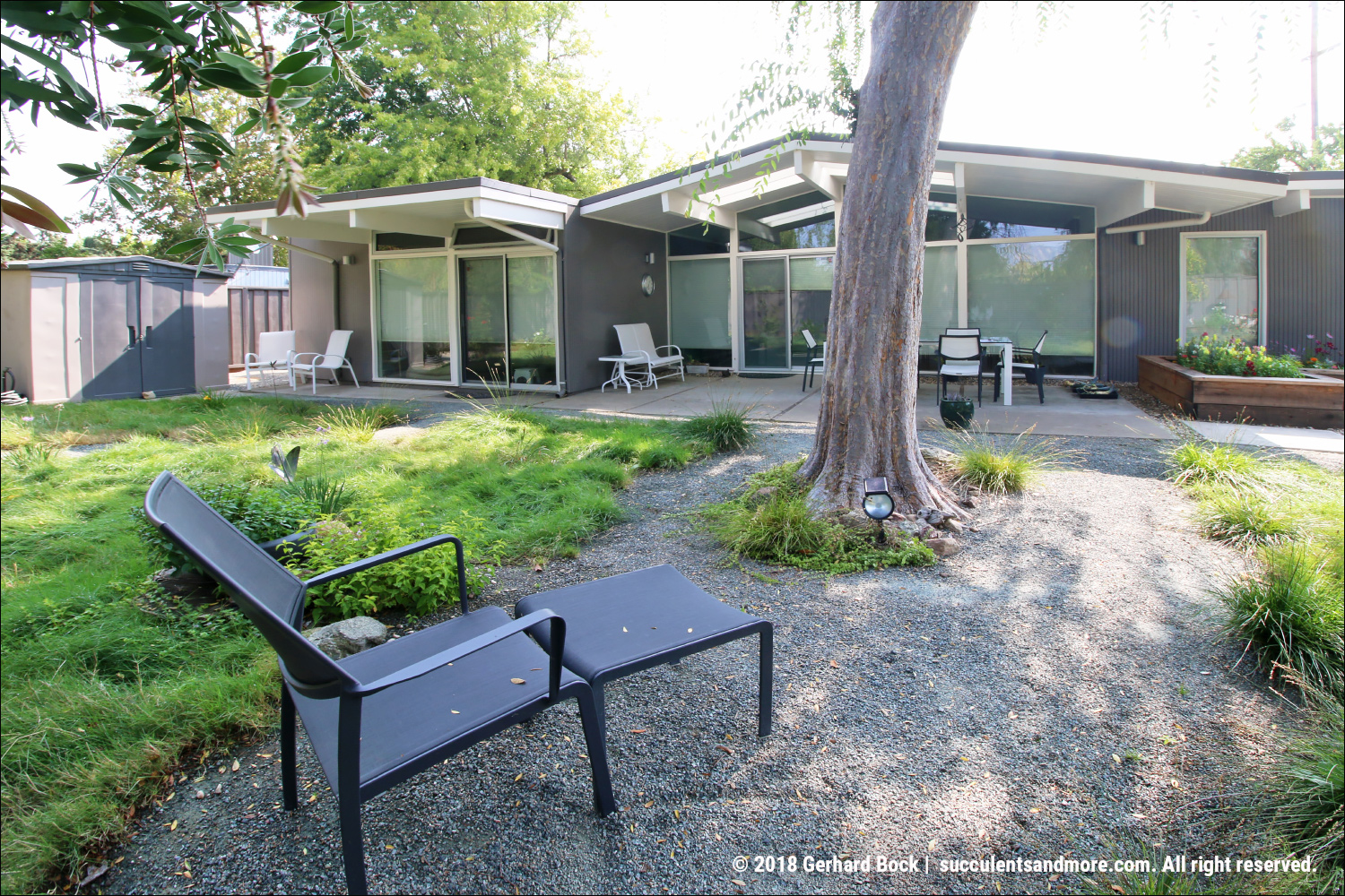 Two Walnut Creek neighbors embrace water-wise landscaping