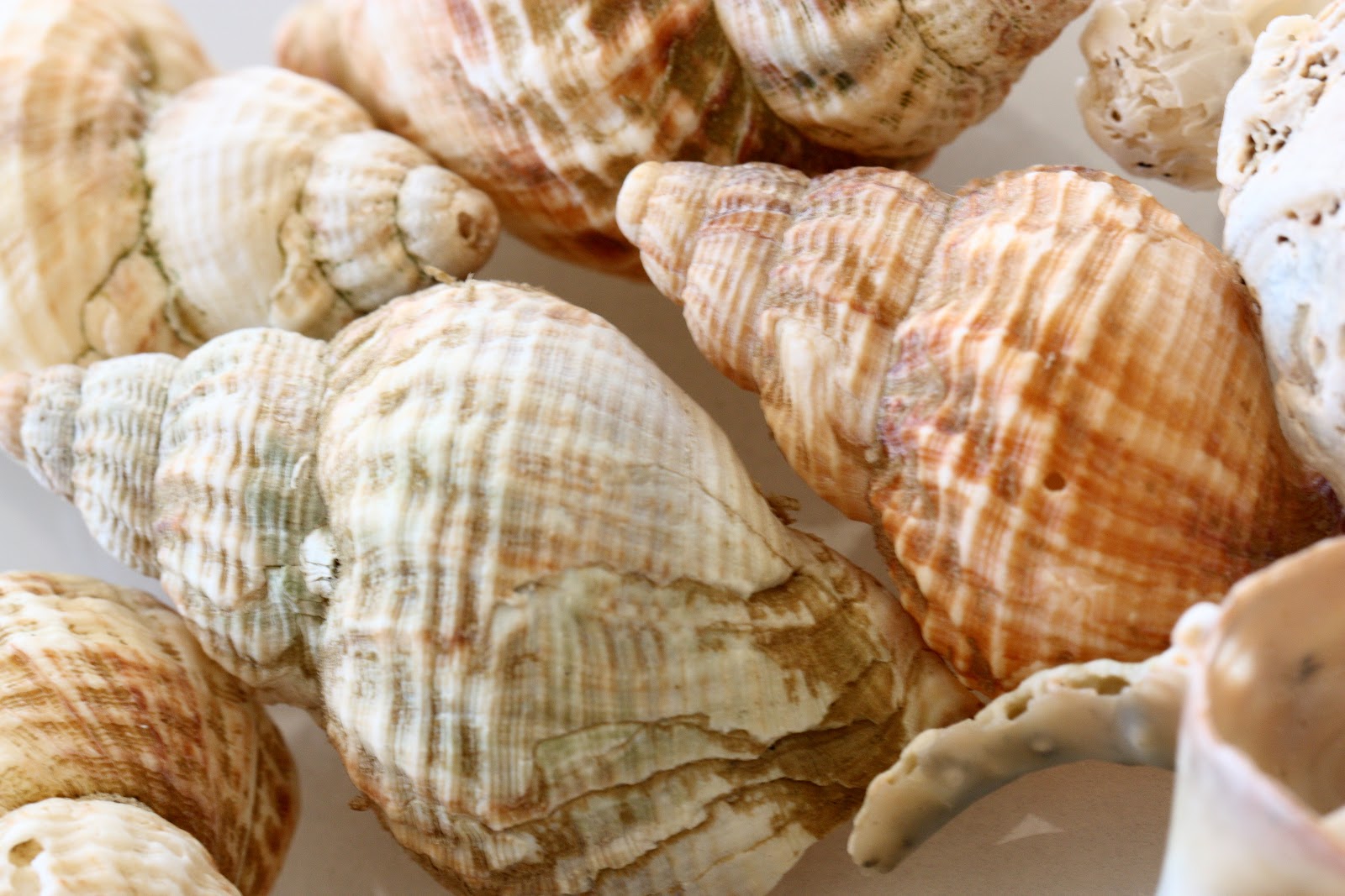 STITCHWORKS: July 2012